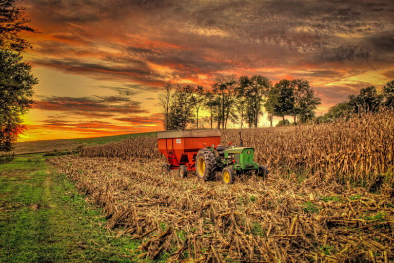 Tractor Stories - 1943 Case SC